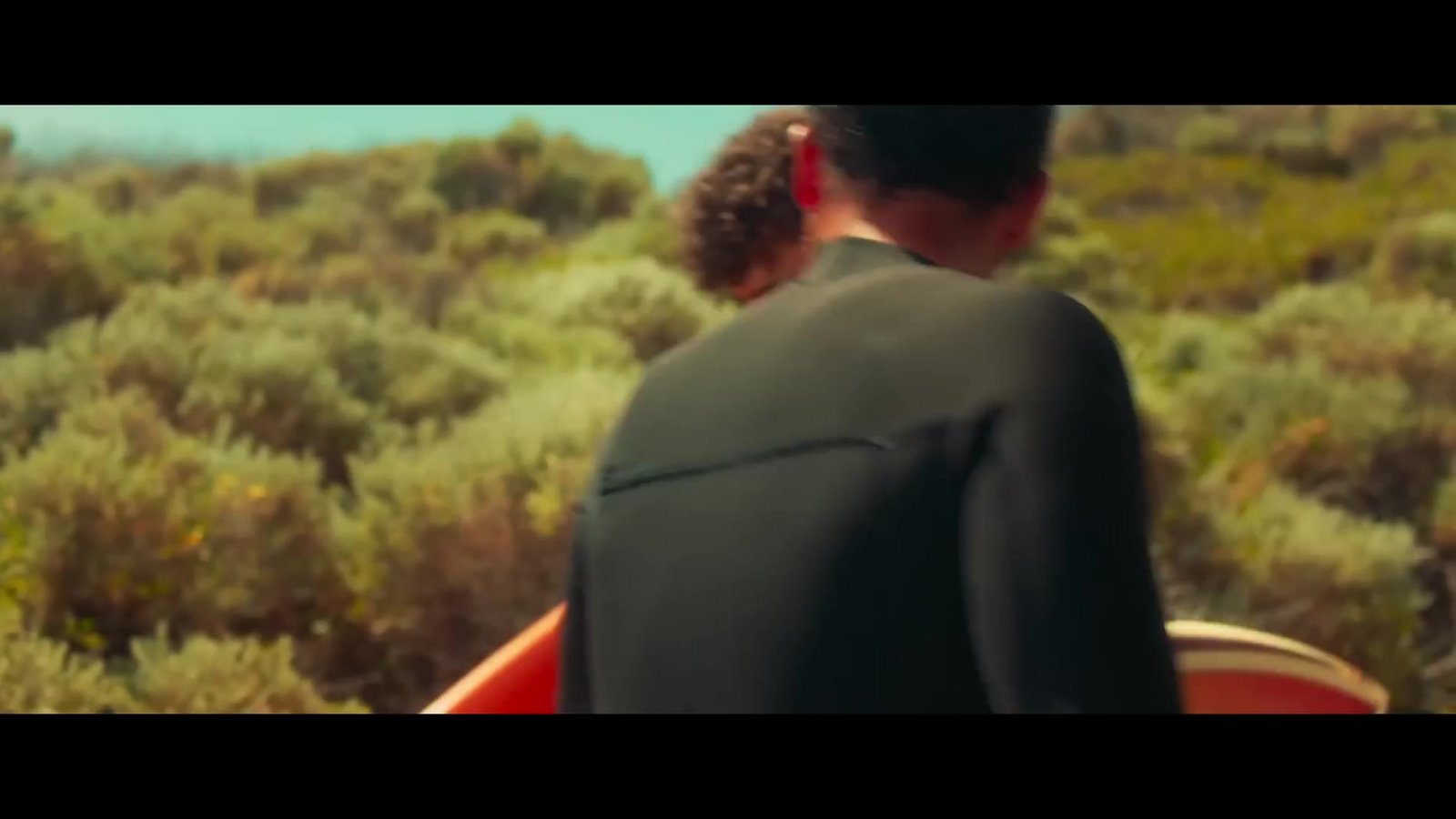 The Surfer: Stream, Blu-ray, 4K UHD oder DVD - VIDEOBUSTER