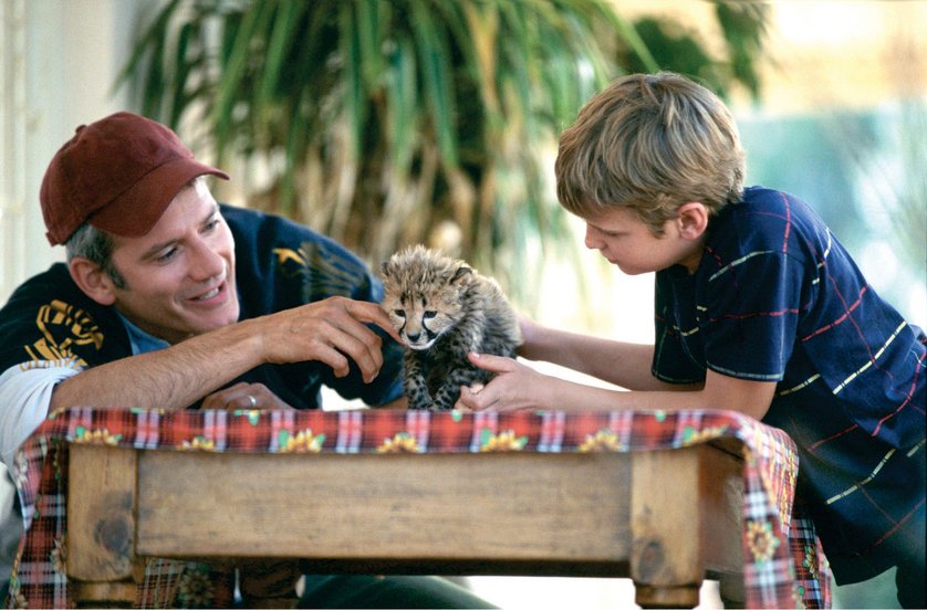 Duma: DVD oder Blu-ray leihen - VIDEOBUSTER.de