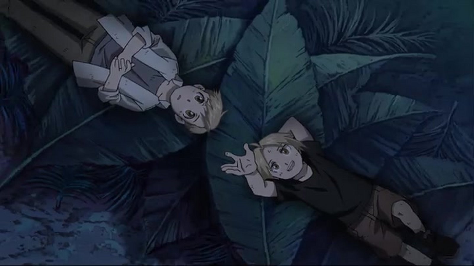 Fullmetal Alchemist - Brotherhood OVA Collection: Blu-ray, 4K UHD, DVD ...