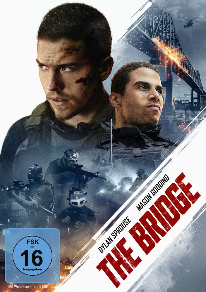 The Bridge: DVD, Blu-ray, 4K UHD leihen - VIDEOBUSTER