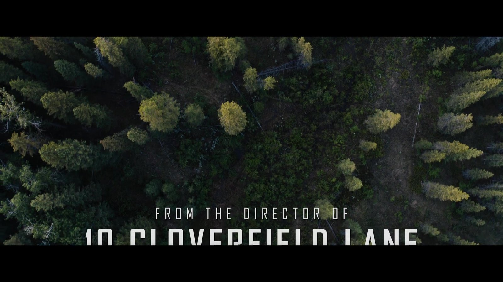 Predator 5 - Prey: Blu-ray, 4K UHD, DVD leihen - VIDEOBUSTER