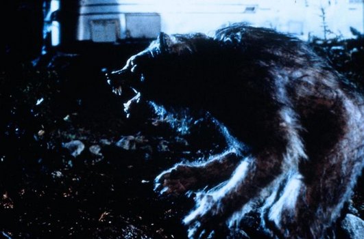 Bad Moon: DVD oder Blu-ray leihen - VIDEOBUSTER.de