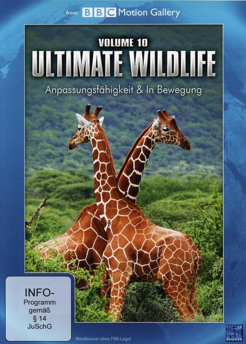 Ultimate Wildlife: DVD oder Blu-ray leihen - VIDEOBUSTER.de