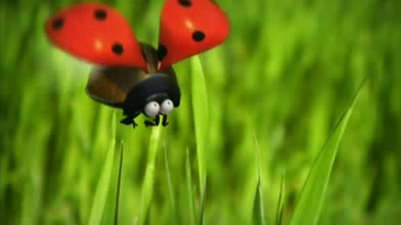 Minuscule: Blu-ray, 4K UHD, DVD leihen - VIDEOBUSTER