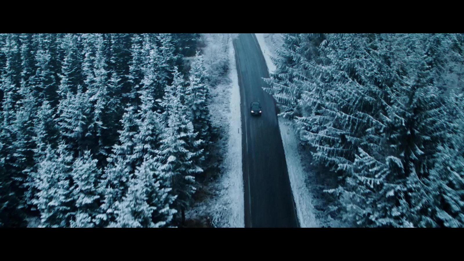 Das letzte Opfer: Stream, Blu-ray, 4K UHD oder DVD - VIDEOBUSTER