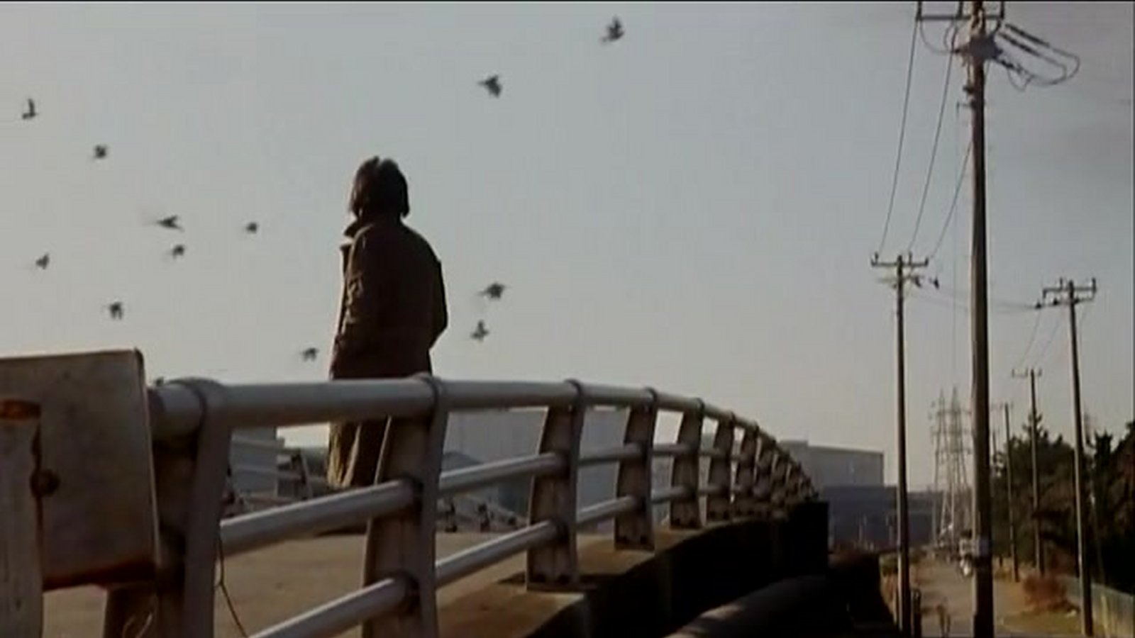 Sakebi - Retribution: DVD oder Blu-ray leihen - VIDEOBUSTER