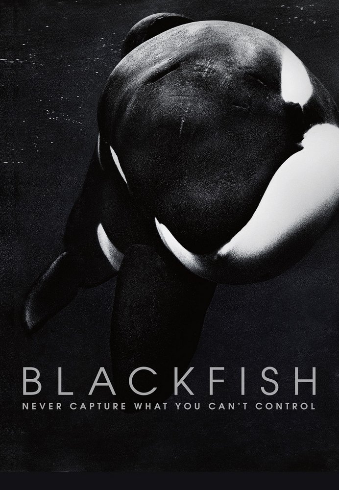 Blackfish: DVD, Blu-ray oder VoD leihen - VIDEOBUSTER.de