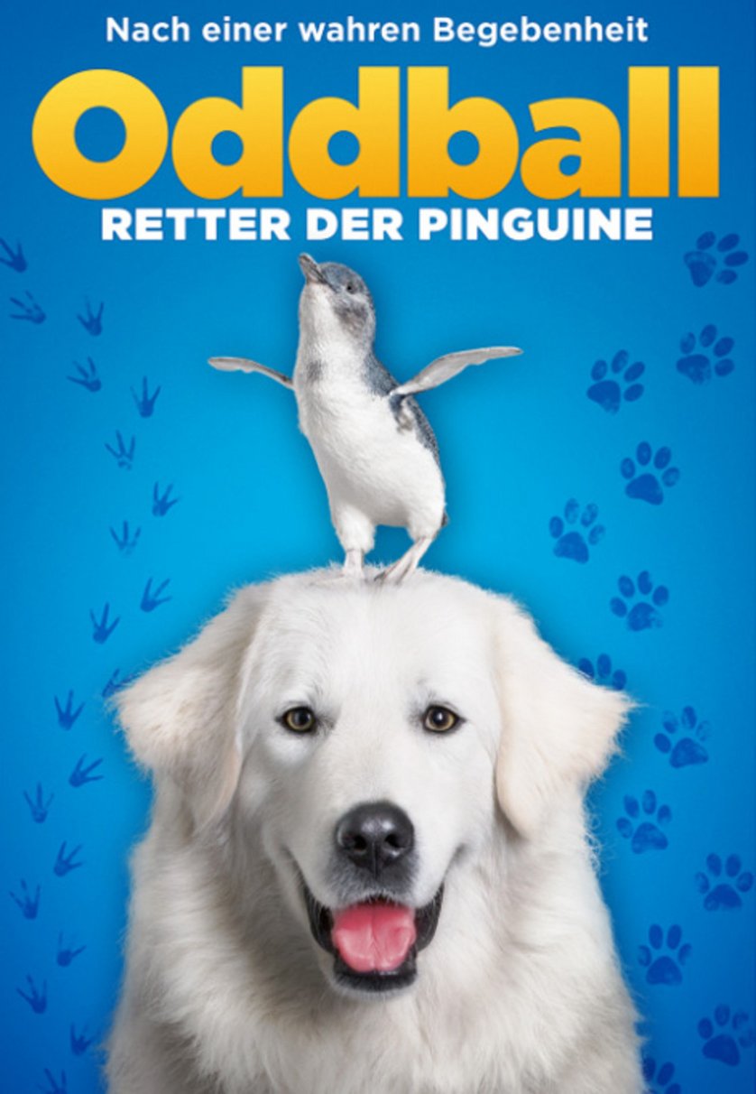 Oddball: DVD, Blu-ray oder VoD leihen - VIDEOBUSTER.de