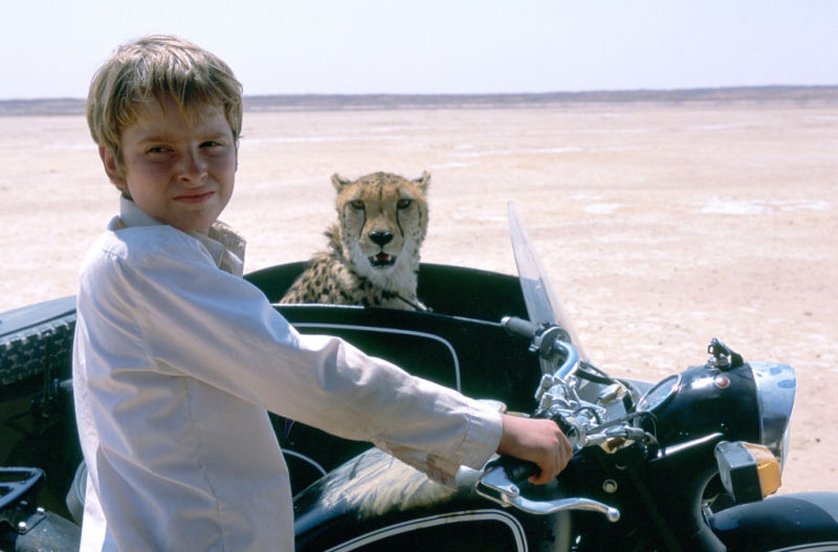 Duma: DVD oder Blu-ray leihen - VIDEOBUSTER.de