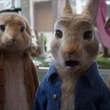 Peter Hase 2: DVD oder Blu-ray leihen - VIDEOBUSTER.de