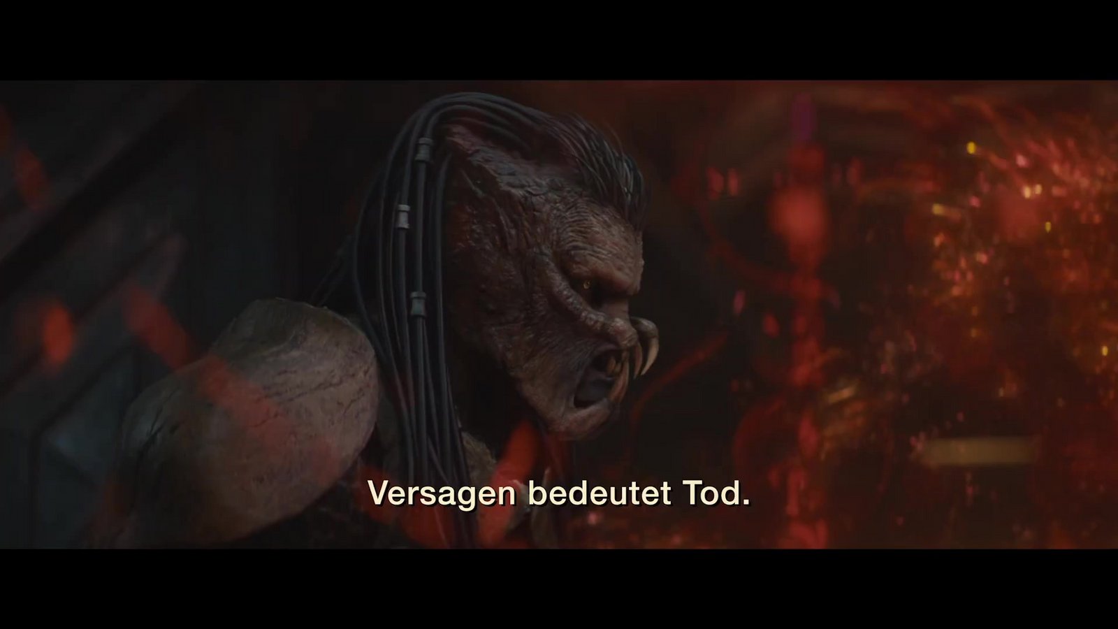 Predator 6 - Badlands: Blu-ray, 4K UHD, DVD leihen - VIDEOBUSTER