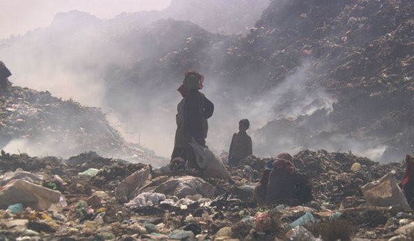 Dogora: DVD oder Blu-ray leihen - VIDEOBUSTER.de