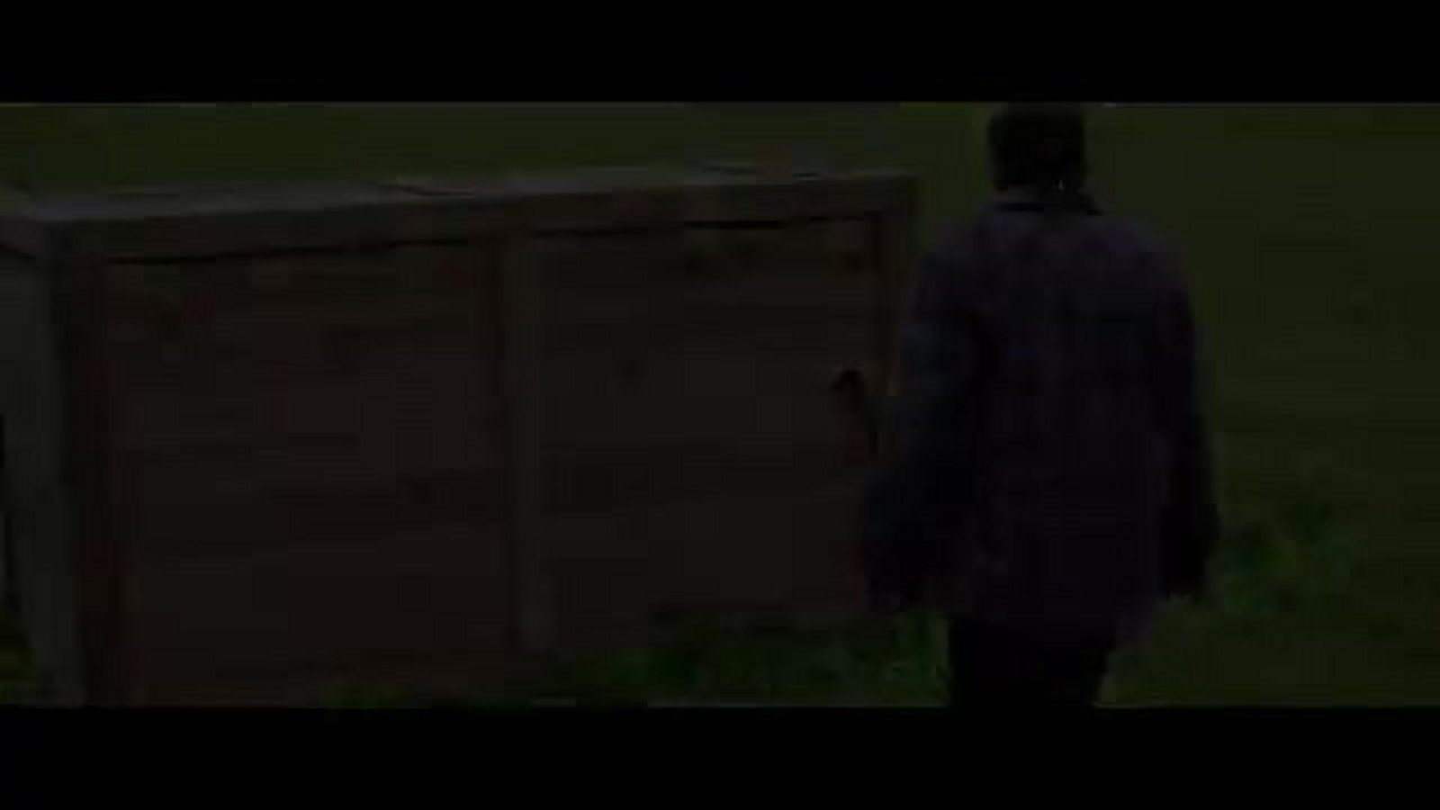 The Hunt: Blu-ray, 4K UHD, DVD leihen - VIDEOBUSTER