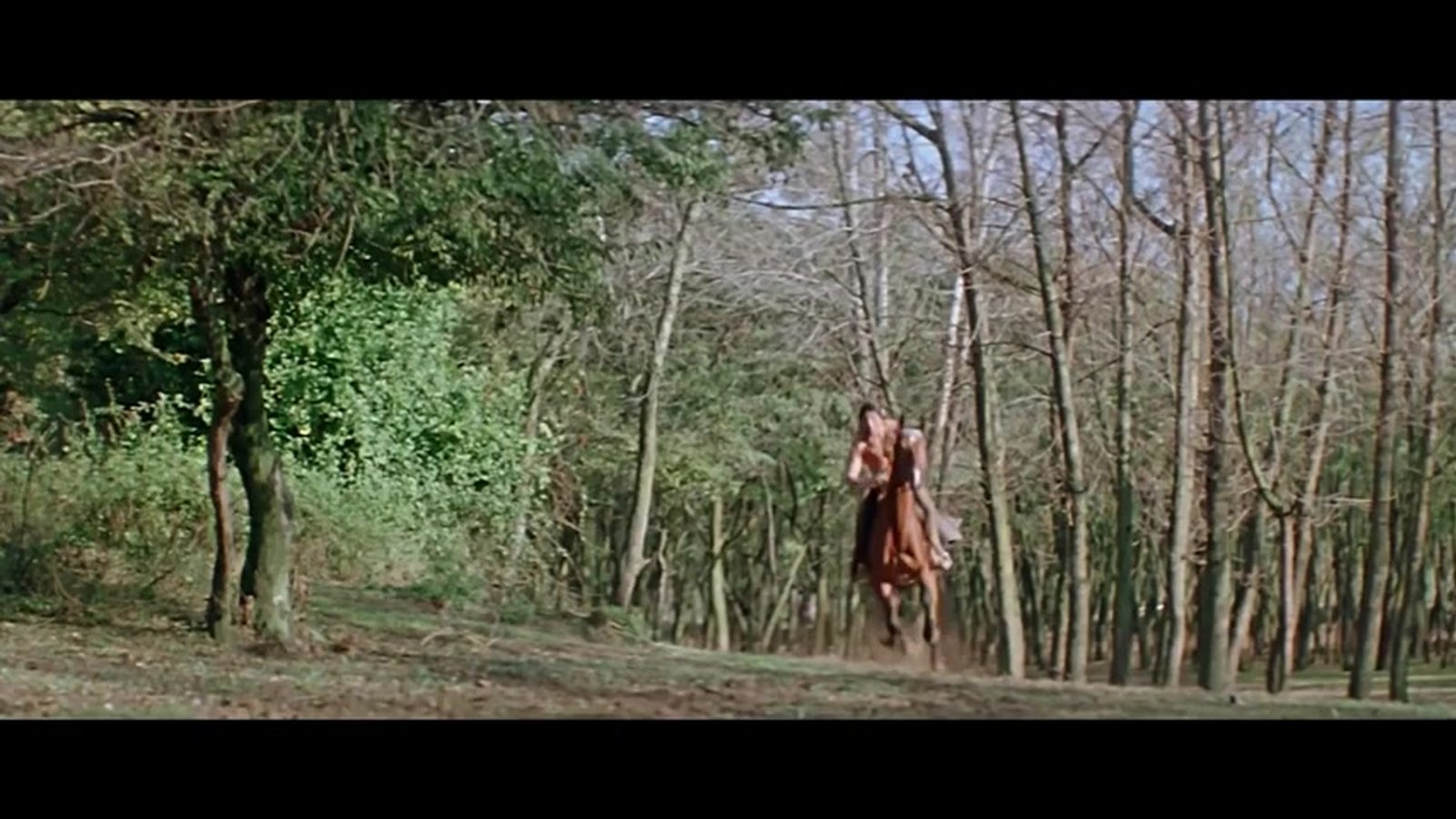Chingachgook: Blu-ray, 4K UHD, DVD leihen - VIDEOBUSTER
