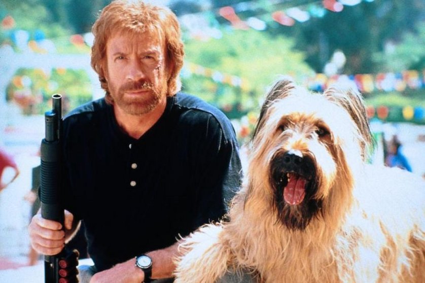 Top Dog: DVD oder Blu-ray leihen - VIDEOBUSTER.de