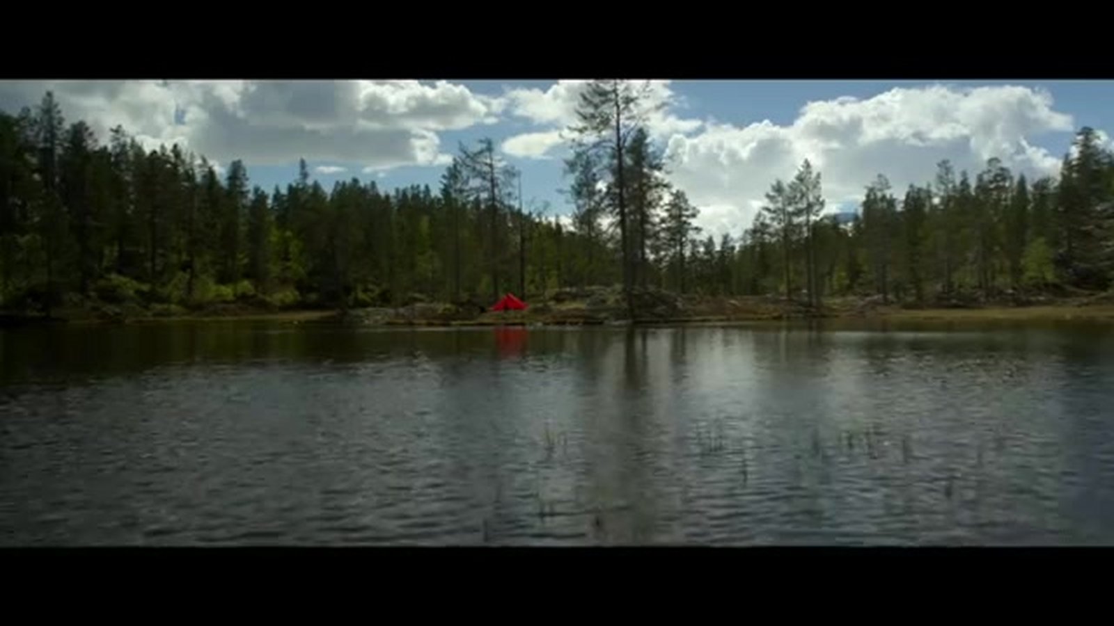 Villmark 2 - Villmark Asylum: Blu-ray, 4K UHD, DVD leihen - VIDEOBUSTER