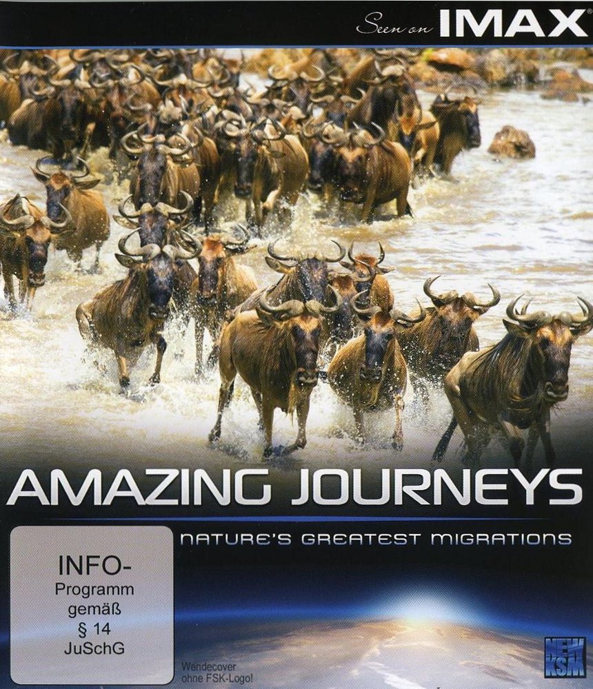IMAX - Amazing Journeys: DVD oder Blu-ray leihen - VIDEOBUSTER