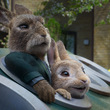 Peter Hase 2: DVD oder Blu-ray leihen - VIDEOBUSTER.de