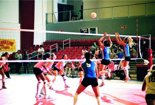 All You've Got: DVD oder Blu-ray leihen - VIDEOBUSTER.de