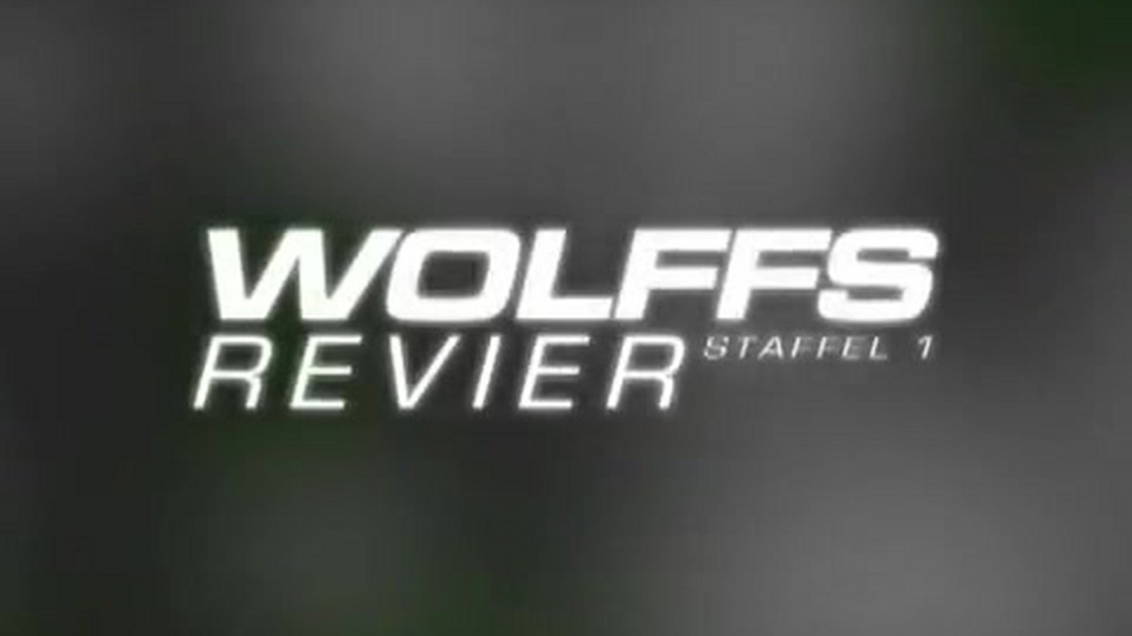 Wolffs Revier - Staffel 1: DVD oder Blu-ray leihen - VIDEOBUSTER