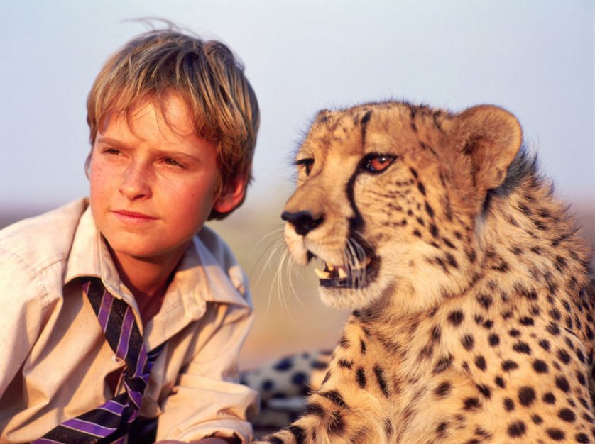 Duma: DVD oder Blu-ray leihen - VIDEOBUSTER.de