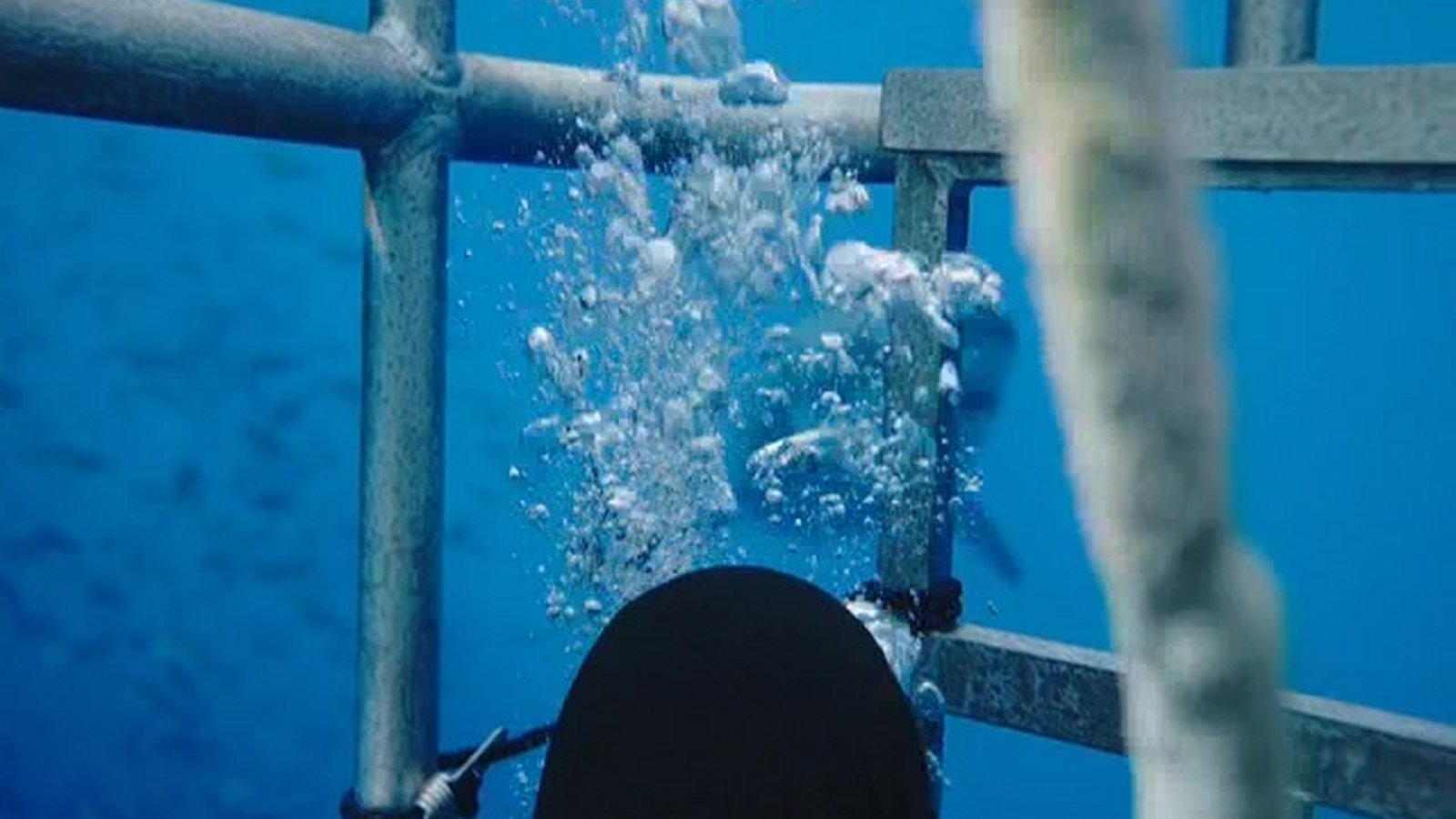 Sharksploitation: Stream, Blu-ray, 4K UHD oder DVD - VIDEOBUSTER