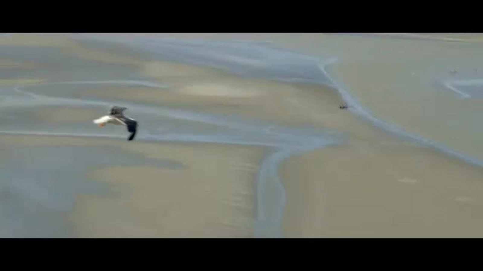 Tide - Gefahr aus der Tiefe: Stream, Blu-ray, 4K UHD oder DVD - VIDEOBUSTER