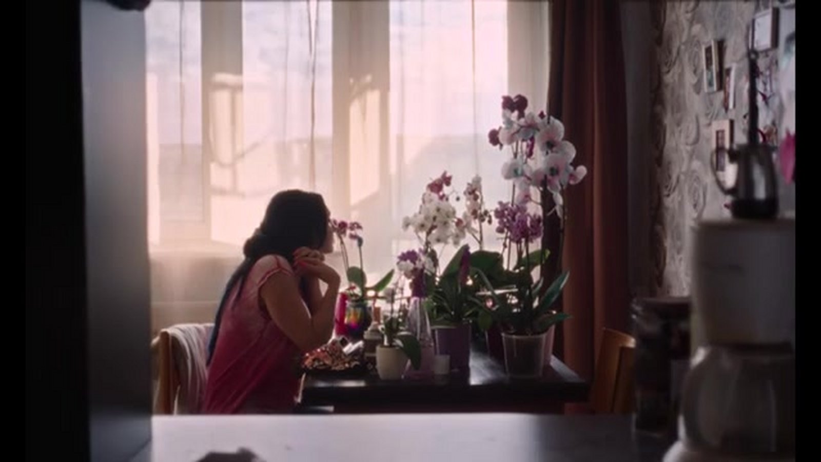 Vena: Stream, Blu-ray, 4K UHD oder DVD - VIDEOBUSTER