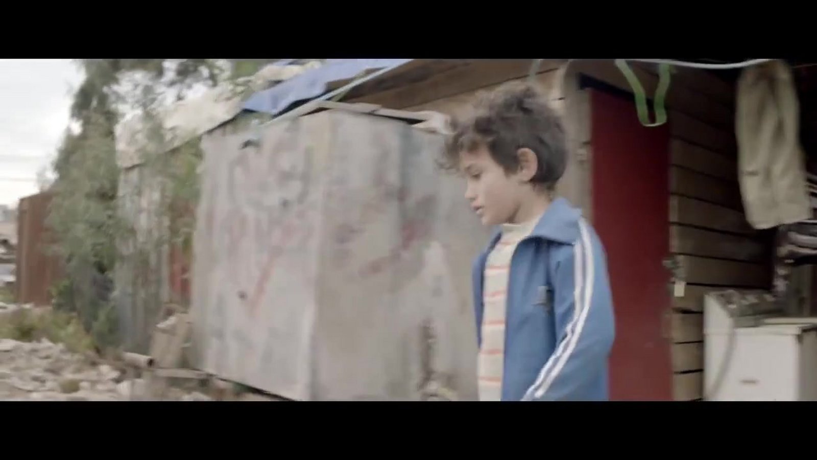 Capernaum: Stream, Blu-ray, 4K UHD oder DVD - VIDEOBUSTER