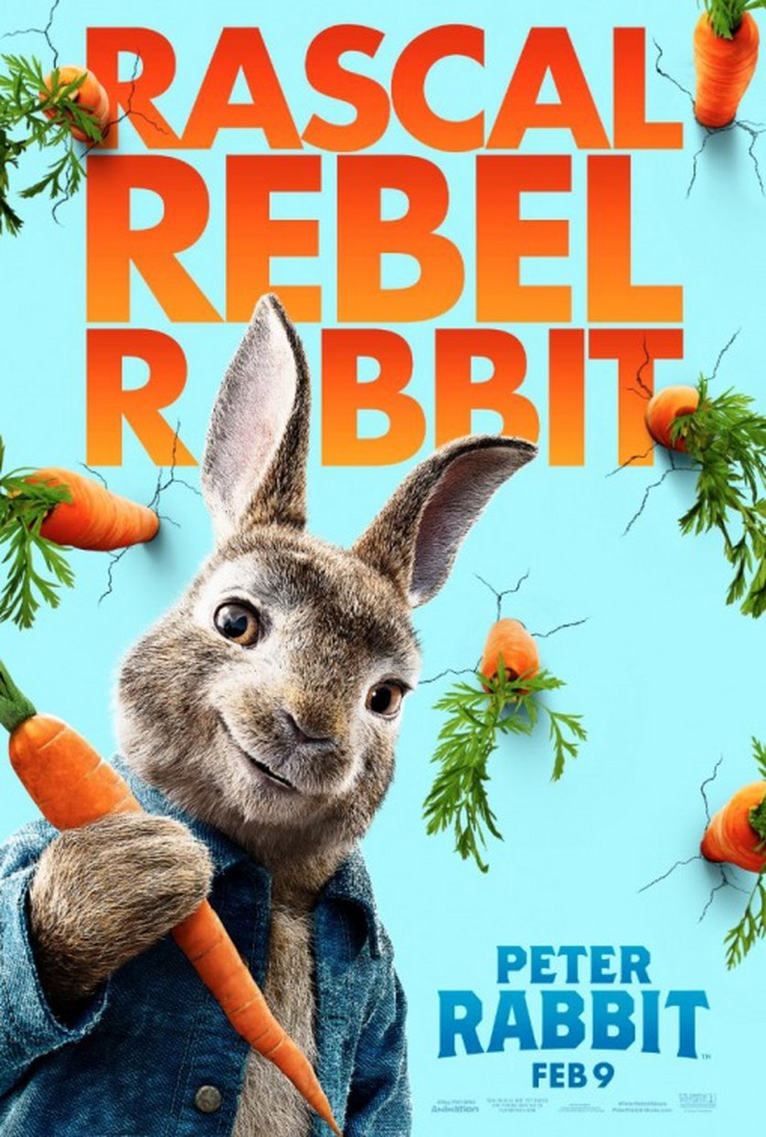 Peter Hase: DVD oder Blu-ray leihen - VIDEOBUSTER.de