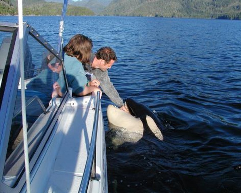 Saving Luna: DVD oder Blu-ray leihen - VIDEOBUSTER.de