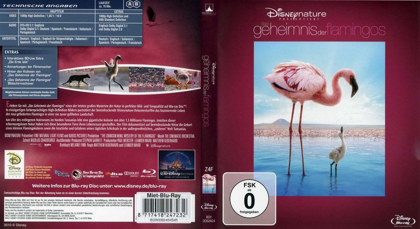 Das Geheimnis der Flamingos: DVD oder Blu-ray leihen - VIDEOBUSTER.de
