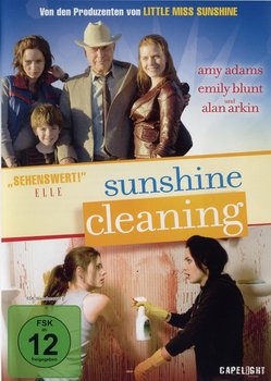 Sunshine Cleaning Blu Ray 4k Uhd Dvd Leihen Videobuster