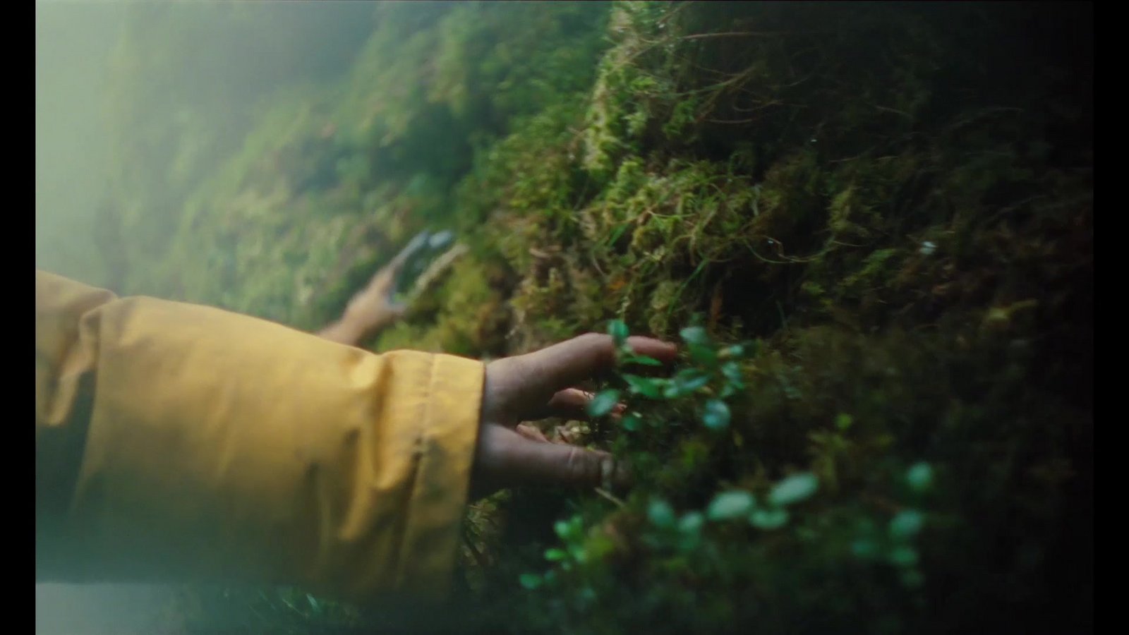 Die Legende von Ochi: Stream, Blu-ray, 4K UHD oder DVD - VIDEOBUSTER