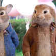 Peter Hase 2: DVD oder Blu-ray leihen - VIDEOBUSTER.de