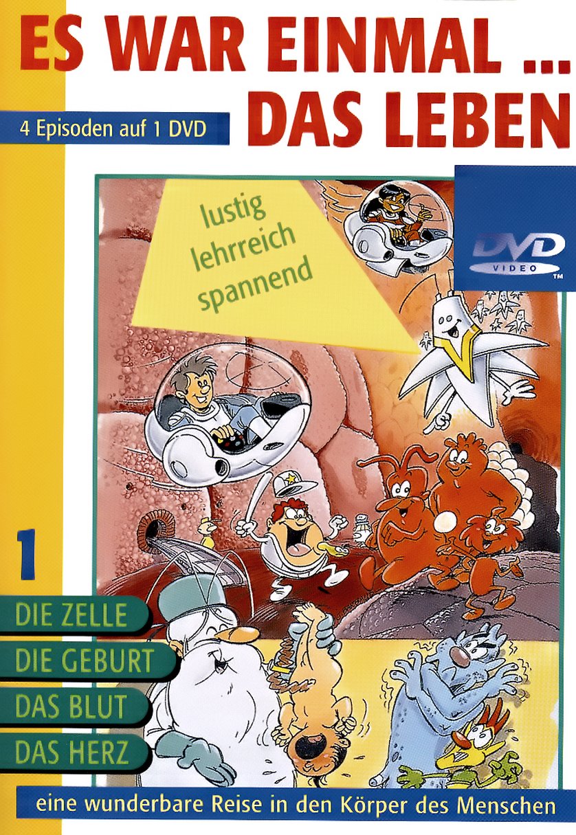 Es war einmal... das Leben: DVD oder Blu-ray leihen - VIDEOBUSTER.de