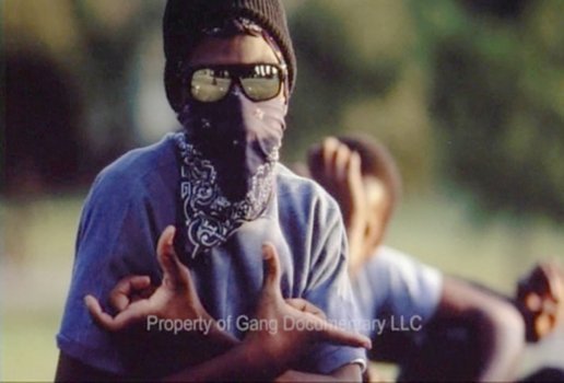 Crips and Bloods: DVD oder Blu-ray leihen - VIDEOBUSTER.de