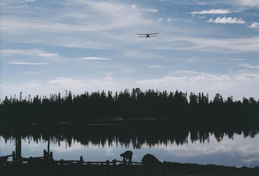 Kukushka: DVD oder Blu-ray leihen - VIDEOBUSTER.de