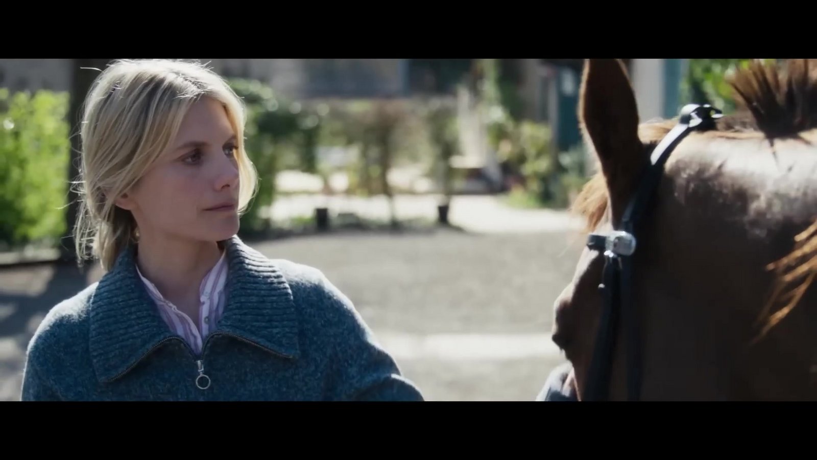 Zoe & Sturm: Stream, Blu-ray, 4K UHD oder DVD - VIDEOBUSTER