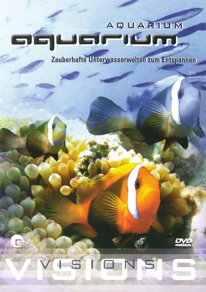 Aquarium: DVD oder Blu-ray leihen - VIDEOBUSTER