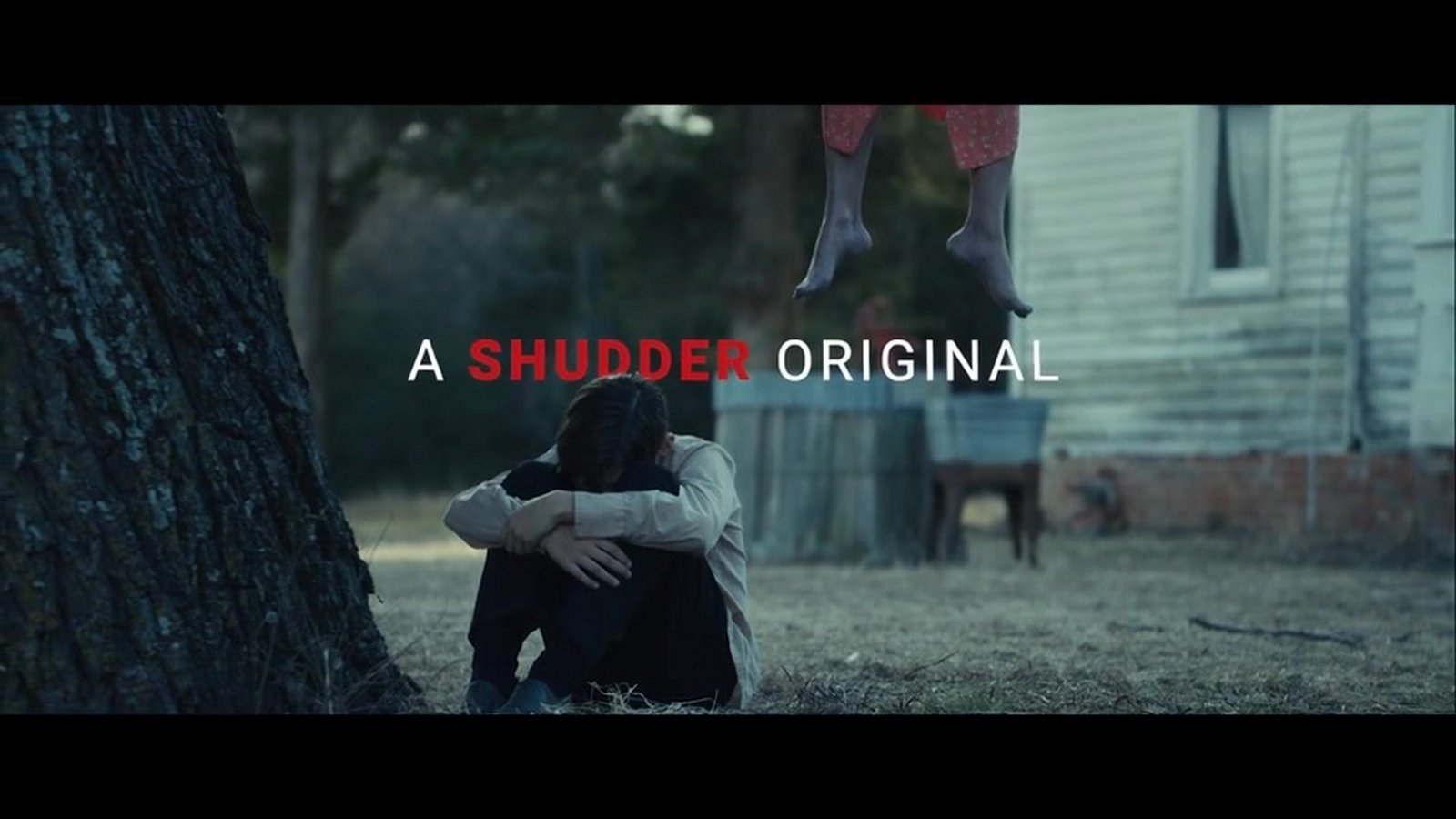 What Josiah Saw: Stream, Blu-ray, 4K UHD oder DVD - VIDEOBUSTER