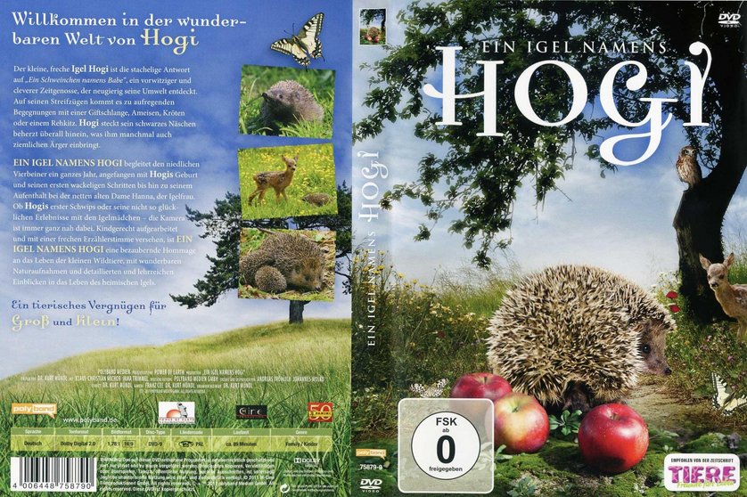 Ein Igel namens Hogi: DVD oder Blu-ray leihen - VIDEOBUSTER.de