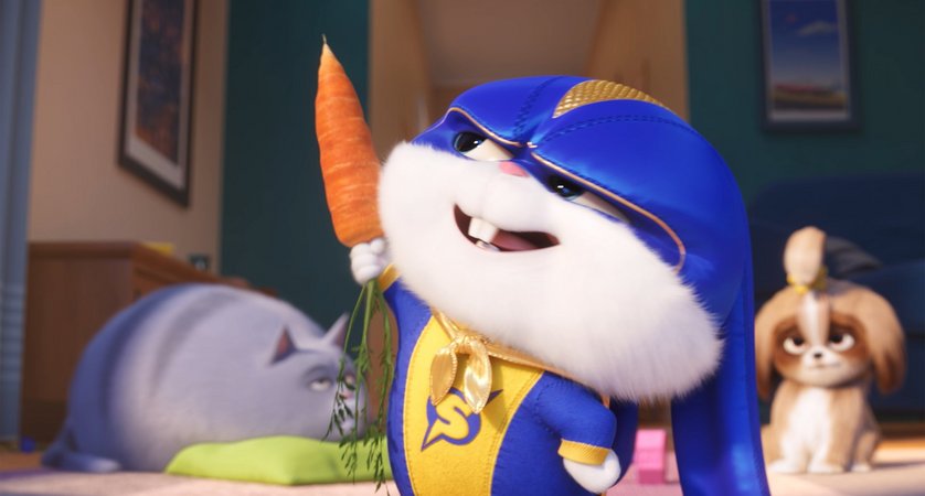 Pets 2: DVD oder Blu-ray leihen - VIDEOBUSTER.de