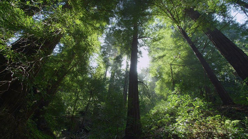 TimeScapes: DVD, Blu-ray oder VoD leihen - VIDEOBUSTER.de