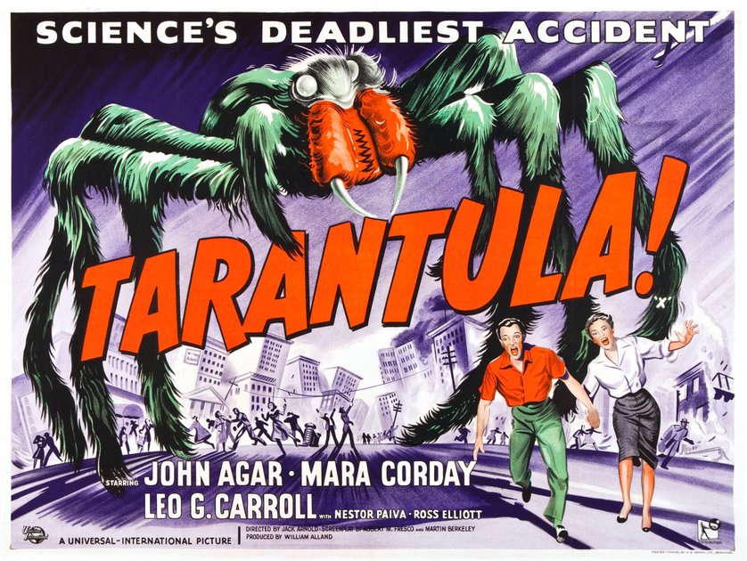 Tarantula: DVD oder Blu-ray leihen - VIDEOBUSTER.de