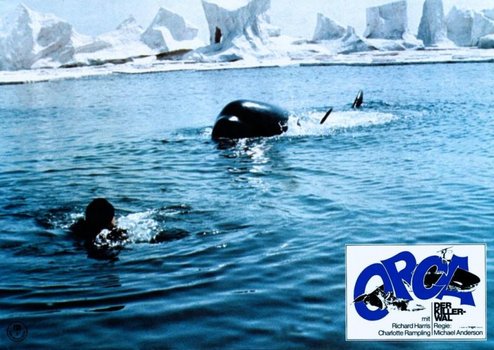 Orca: DVD oder Blu-ray leihen - VIDEOBUSTER.de