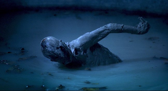 Shapeshifter: DVD, Blu-ray oder VoD leihen - VIDEOBUSTER.de