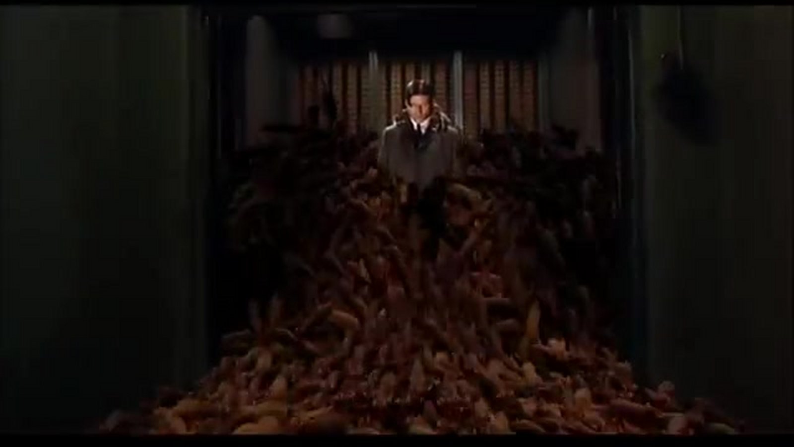 Willard: Blu-ray, 4K UHD, DVD leihen - VIDEOBUSTER