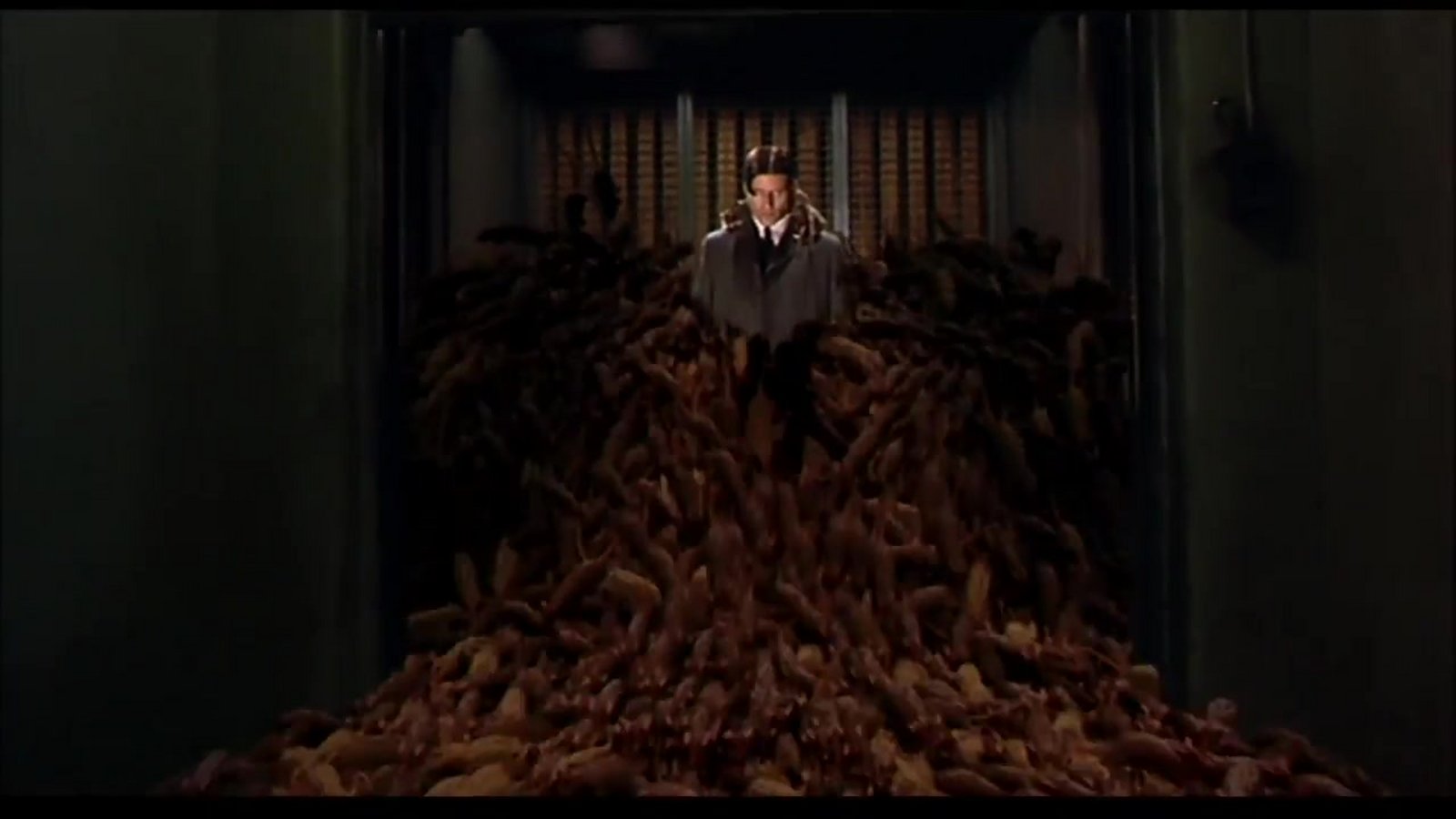 Willard: Blu-ray, 4K UHD, DVD leihen - VIDEOBUSTER