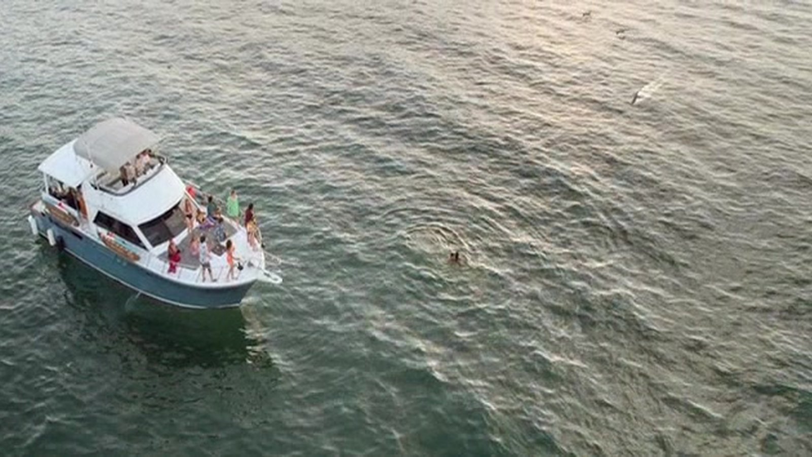 Blind Waters: Stream, Blu-ray, 4K UHD oder DVD - VIDEOBUSTER